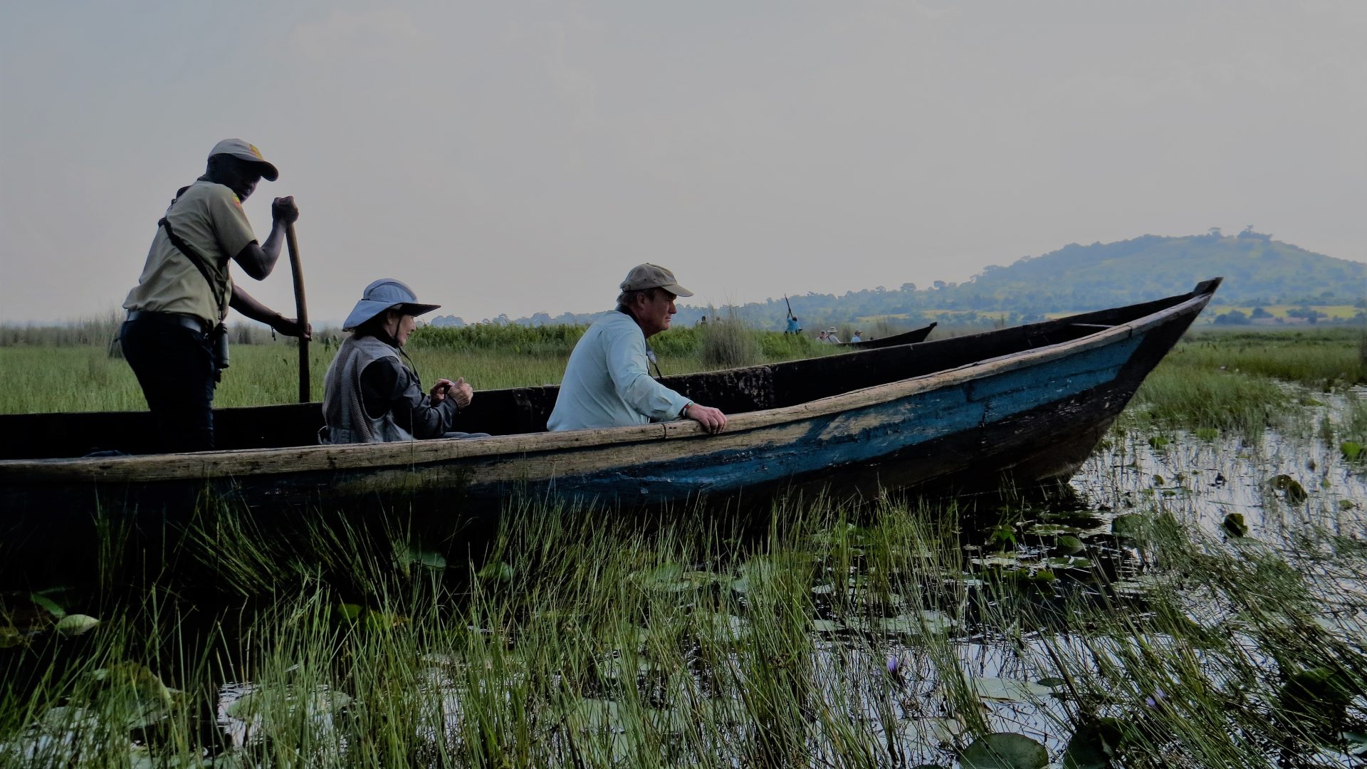 Visit Mabamba wetland swamp- Home to the Shoebill Stork – Gorilla Link ...